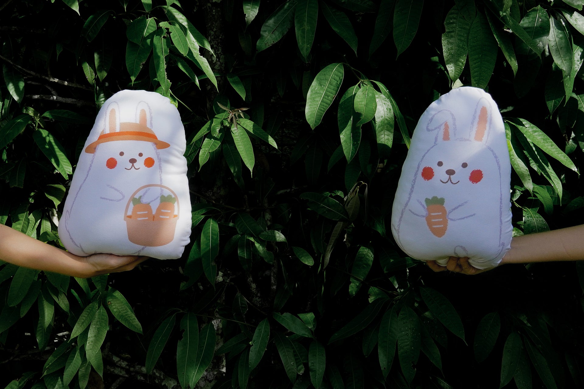 Pillows and Cushions – Lollibly